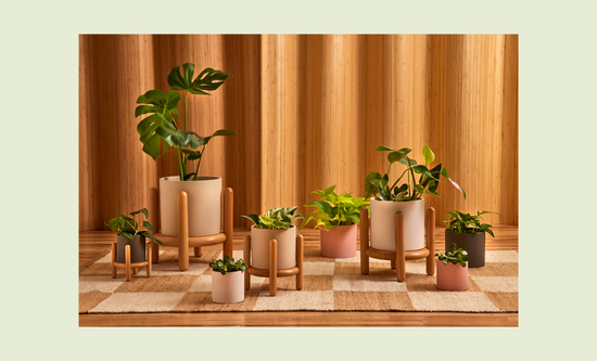 Products – Rooted Brooklyn